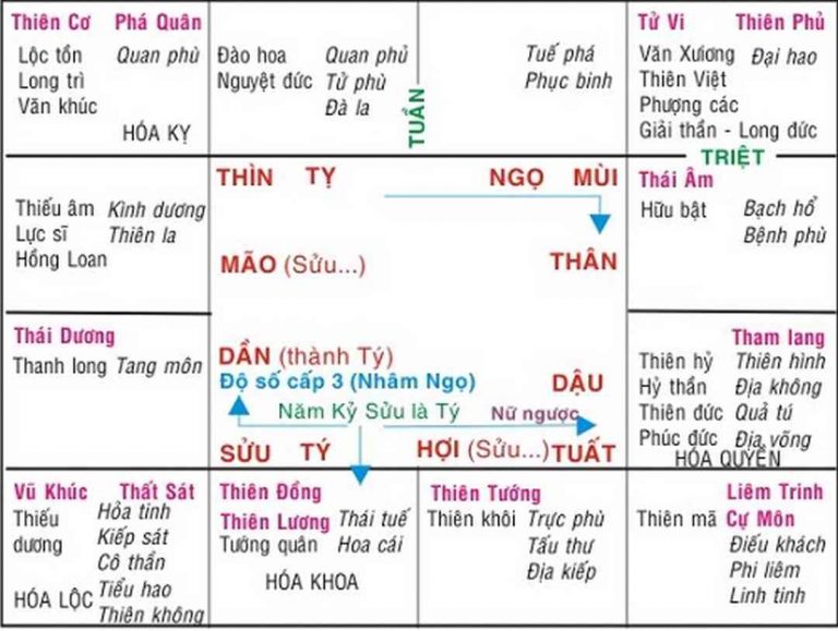 Tử vi chân cơ - Cách xem tử vi mới nhất và chính xác nhất